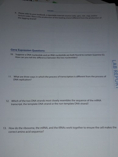 Solved Name DATA SHELL Date: 4:29.70 DNA Replication | Chegg.com