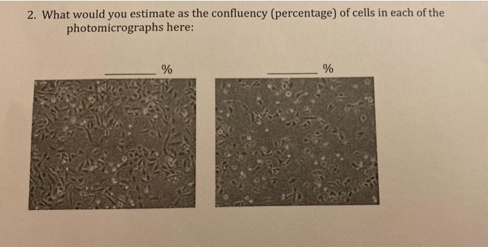 2. What would you estimate as the confluency | Chegg.com