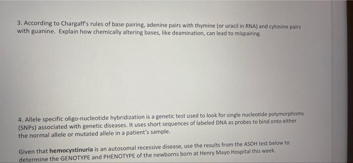 Solved 3. According to Chargaff's rules of base pairing, | Chegg.com