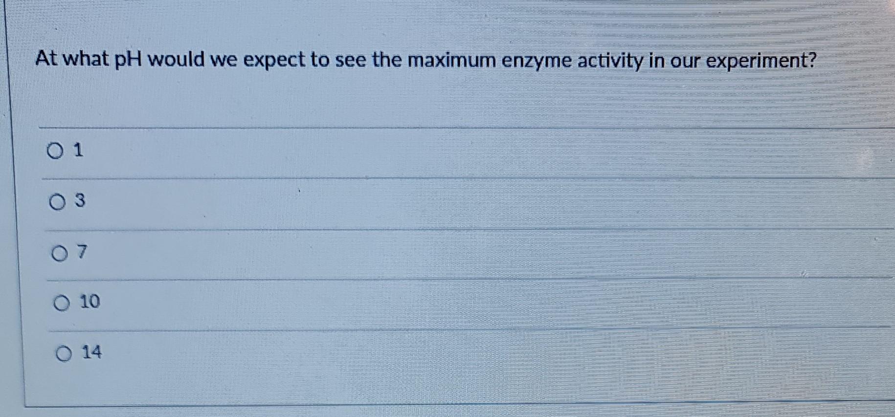 Solved Why does the rate of an enzyme catalyzed reaction | Chegg.com