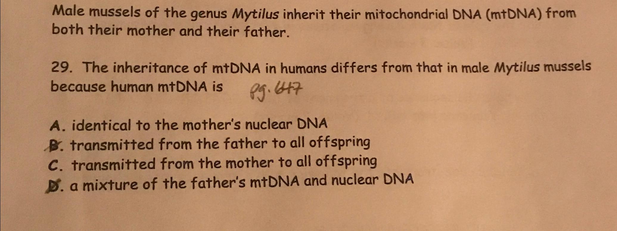 Solved Male mussels of the genus Mytilus inherit their | Chegg.com