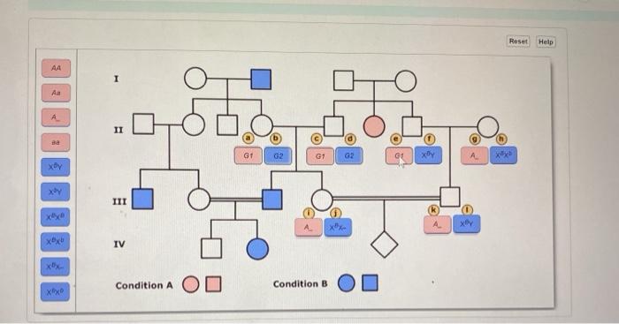 Solved Reset Help AA Aa A II o. GI G1 G2 G1 χόν A х xov III | Chegg.com