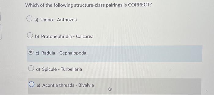 Solved Which of the following structure-class pairings is | Chegg.com