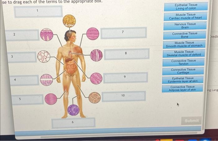 Solved se to drag each of the terms to the appropriate box. | Chegg.com Solved se to drag each of the terms to the appropriate box. | Chegg.com