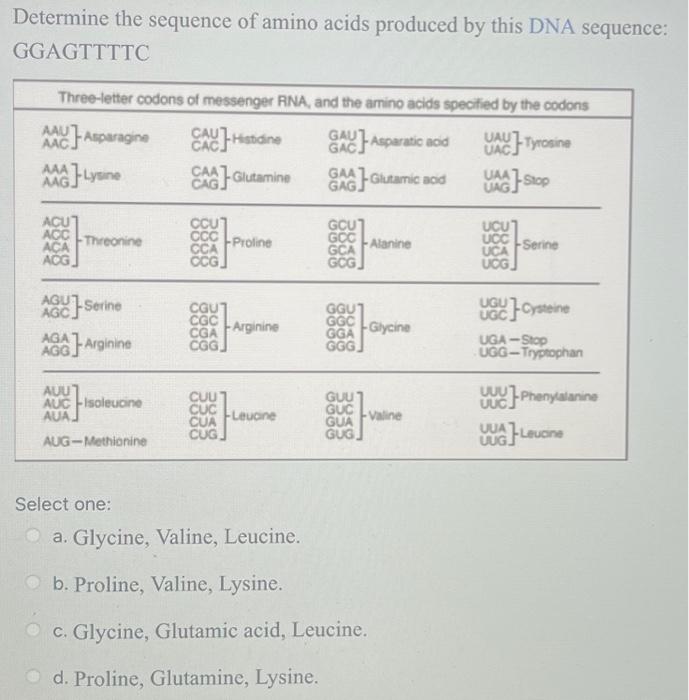 Solved Determine the sequence of amino acids produced by | Chegg.com