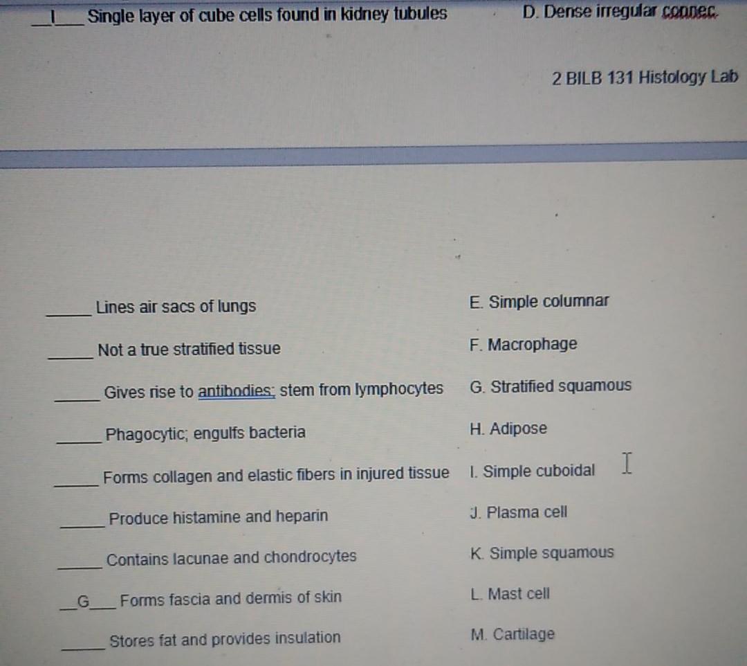 Solved 1. MATCHING-Match the tissues to their functions E | Chegg.com