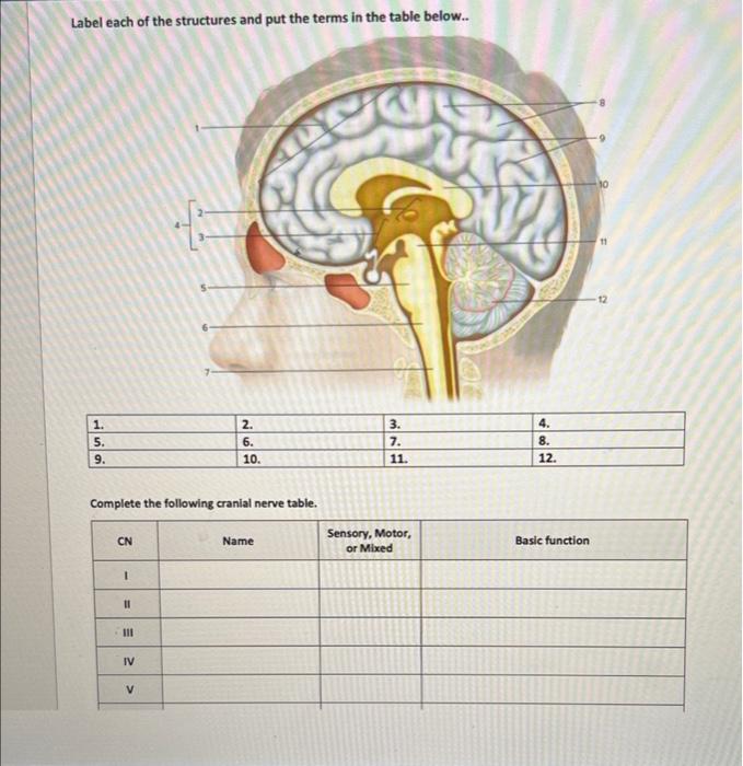 Solved Identify the basic functions of each of the following | Chegg.com