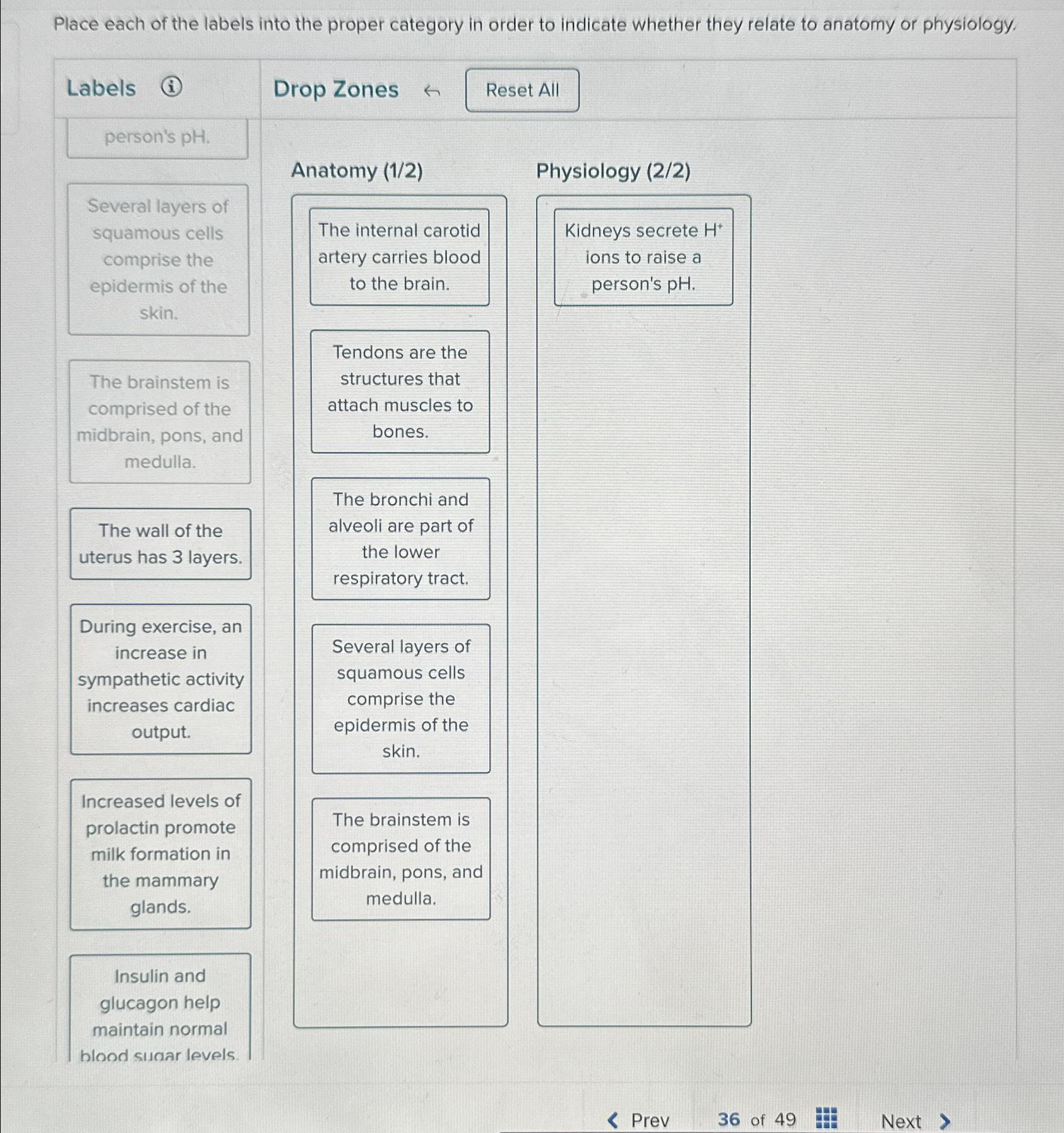 Solved Place each of the labels into the proper category in | Chegg.com