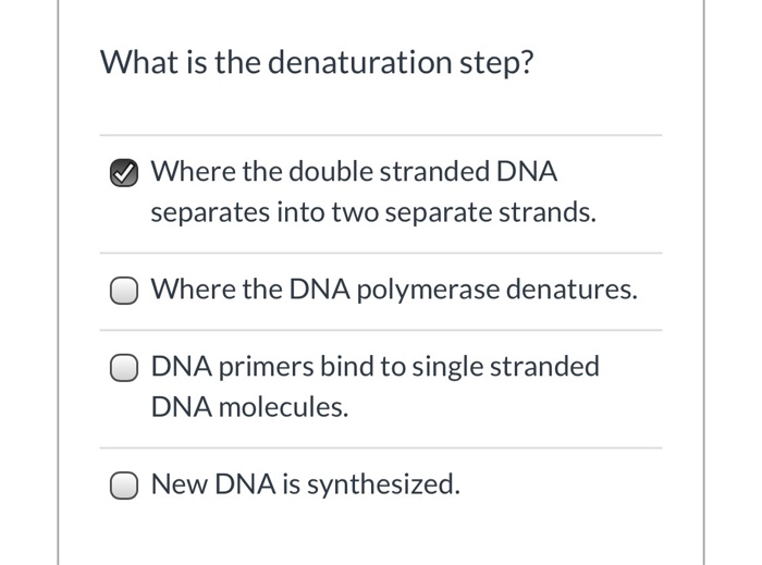 Solved What is the denaturation step? Where the double | Chegg.com