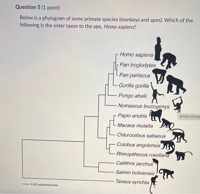 Solved Write a short working definition of evolution via | Chegg.com