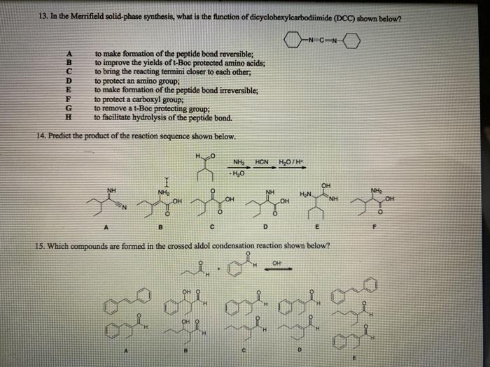 Solved 13. In the Merrifield solid-phase synthesis, what is | Chegg.com