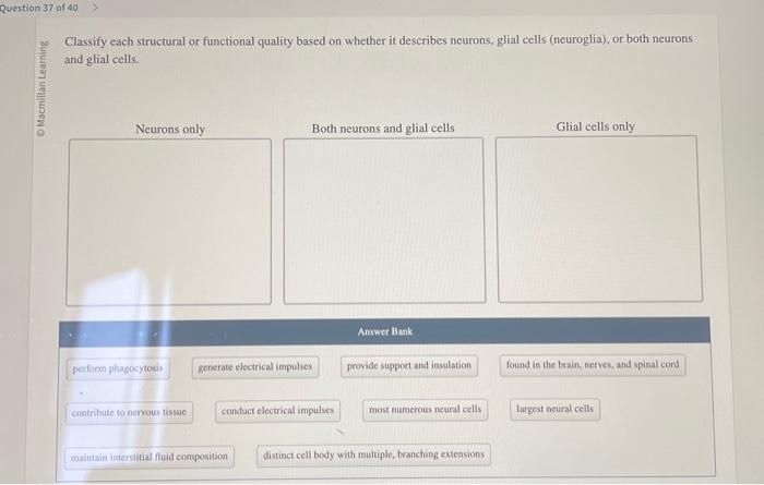 Solved Classify each structural or functional quality based | Chegg.com