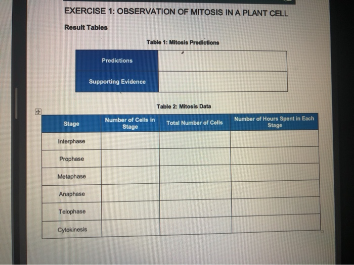 EXERCISE 1: OBSERVATION OF MITOSIS IN A PLANT CELL In | Chegg.com