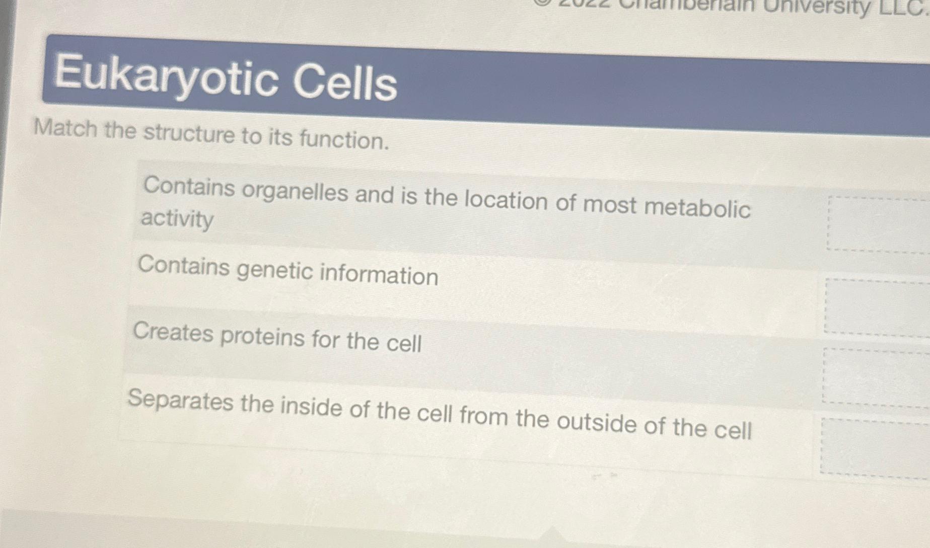 Solved Eukaryotic CellsMatch the structure to its | Chegg.com