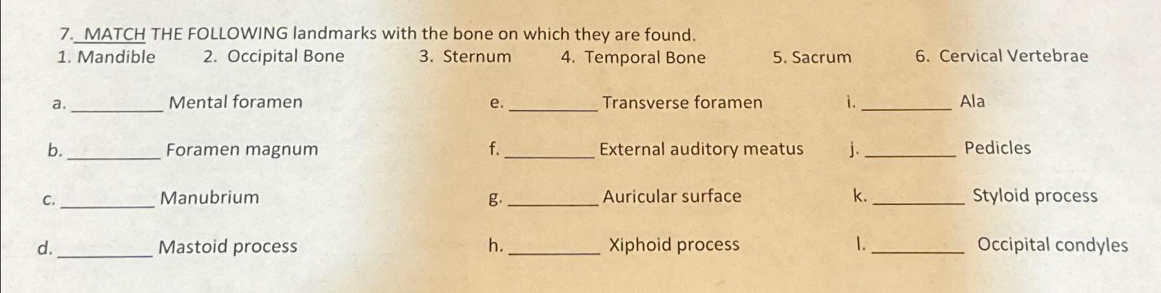 Solved MATCH THE FOLLOWING landmarks with the bone on which | Chegg.com