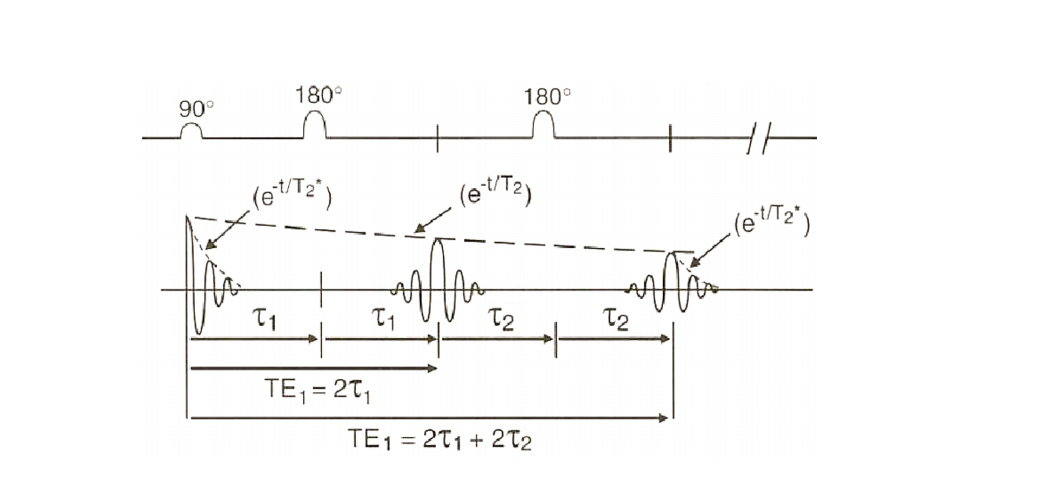Assuming we are using a spin-echo pulse sequence, if | Chegg.com