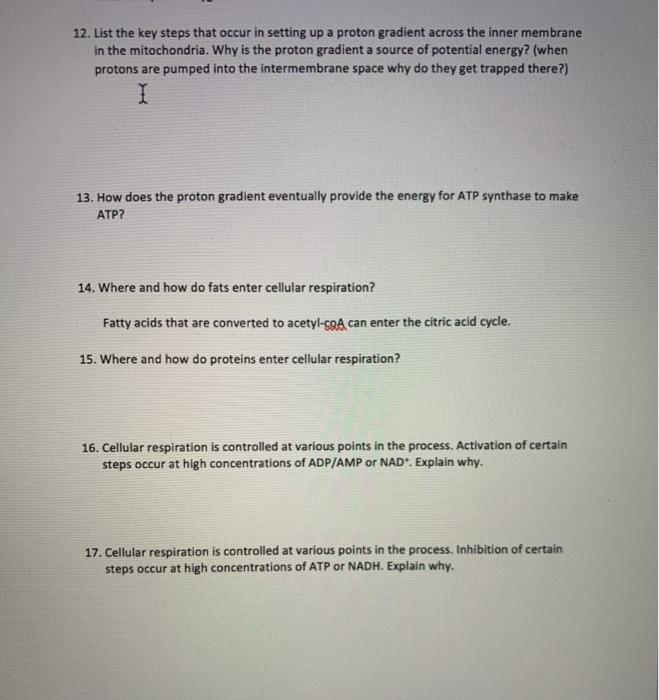 Solved 12. List the key steps that occur in setting up a | Chegg.com
