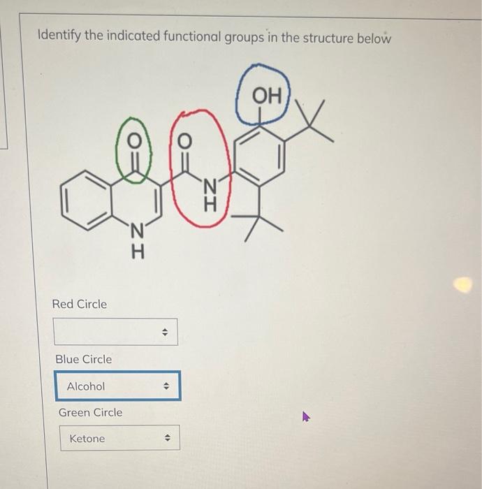 Solved Identify the indicated functional groups in the | Chegg.com