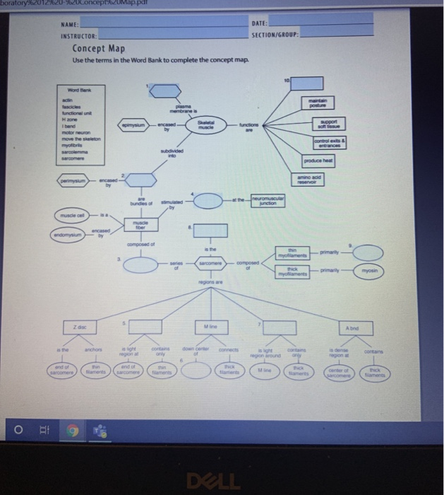 Solved boratory 20121620-%20Concept map.par NAME: DATE: | Chegg.com