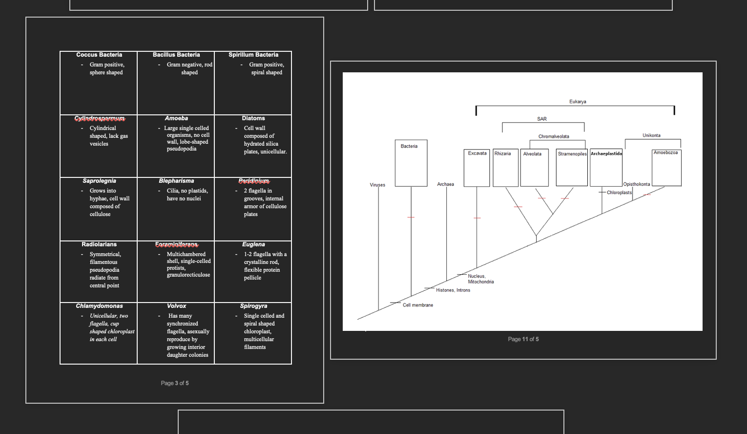 Solved FILL OUT THIS CLADOGRAM USING ALL 15 ﻿SPECIES and | Chegg.com