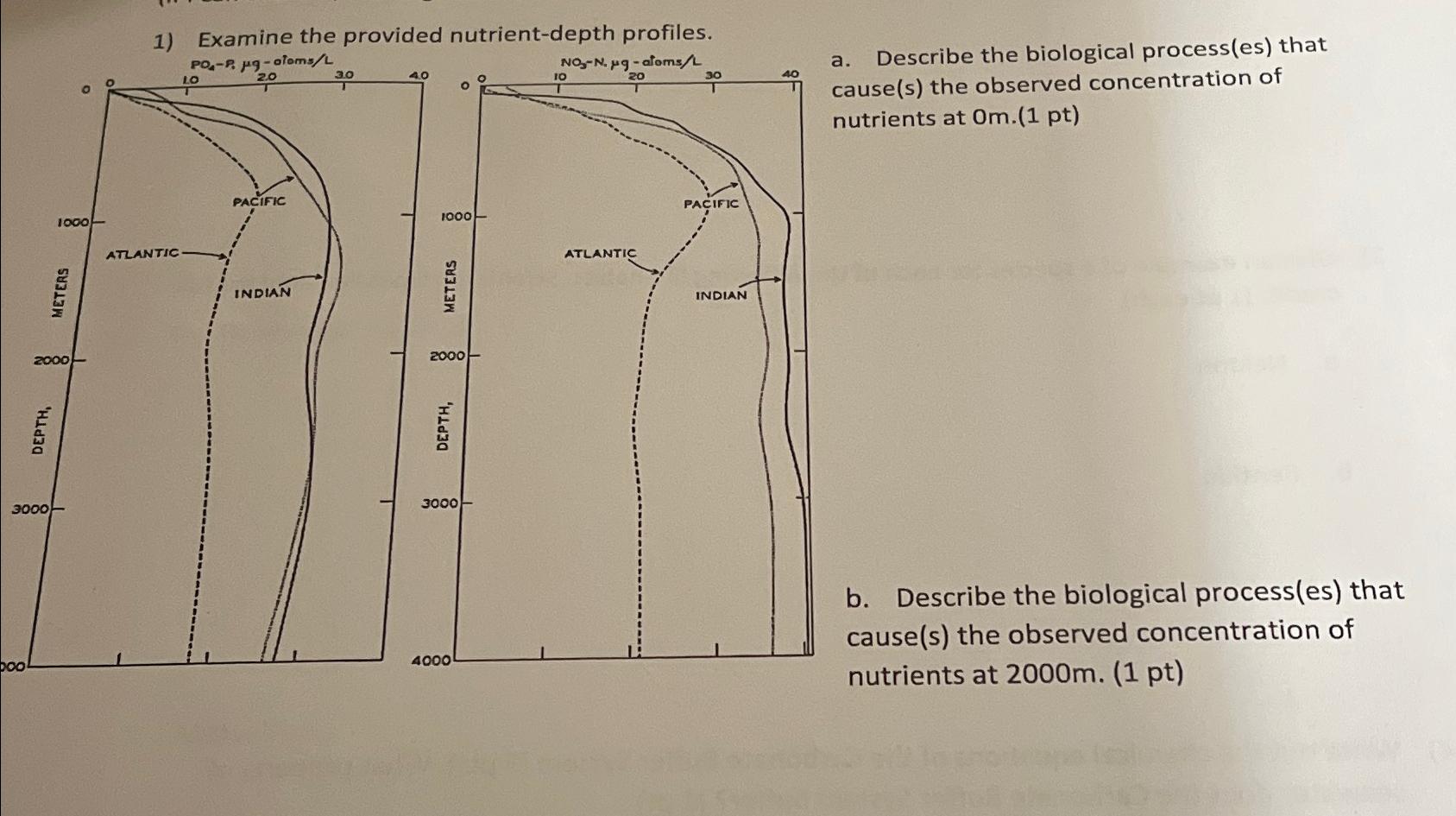 Solved Examine the provided nutrient-depth profiles.a. | Chegg.com