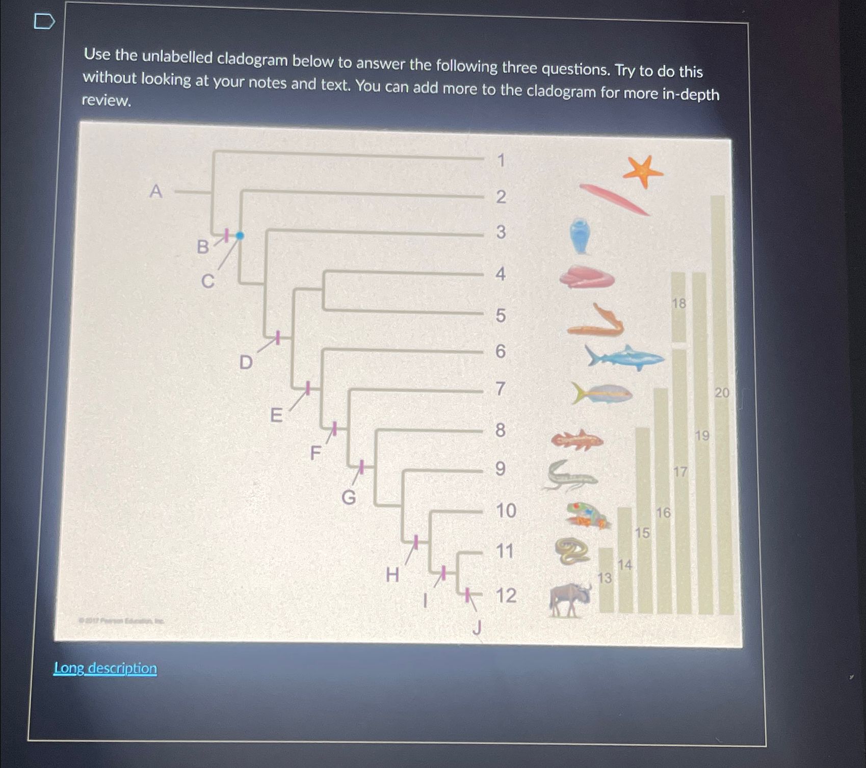 Use the unlabelled cladogram below to answer the | Chegg.com