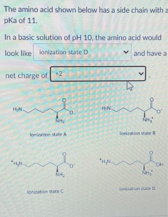 Solved The amino acid shown below has a side chain with a | Chegg.com