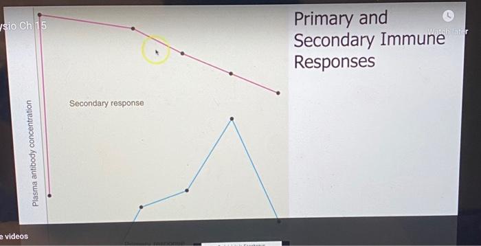 Solved Primary and Secondary Immune Responses | Chegg.com