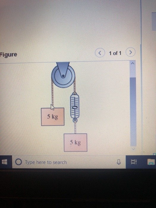 determine the reading of the spring scale in the | Chegg.com
