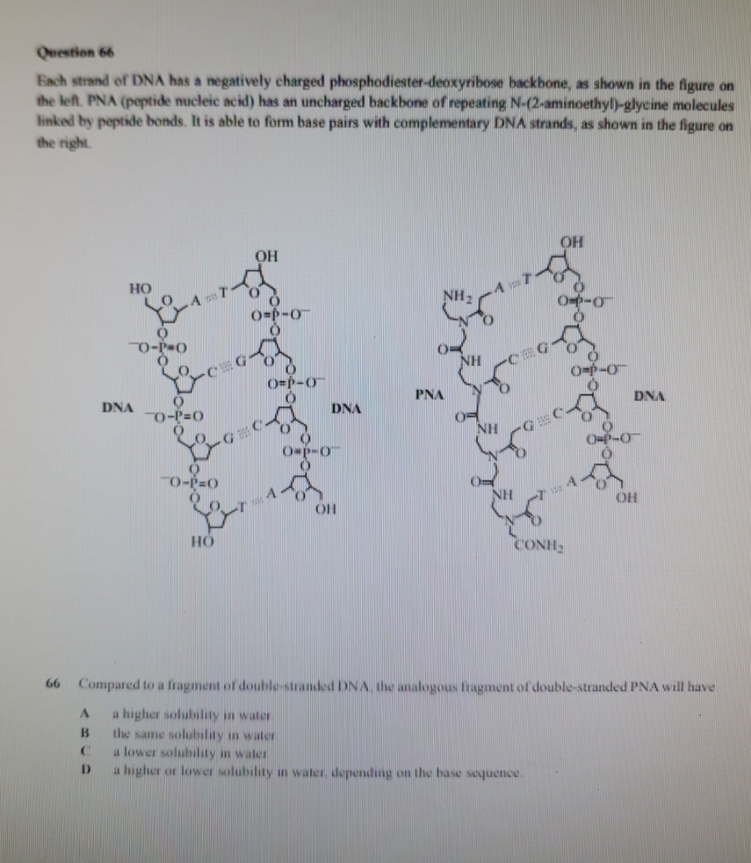 Solved Question 66Each strand of DNA has a negatively | Chegg.com
