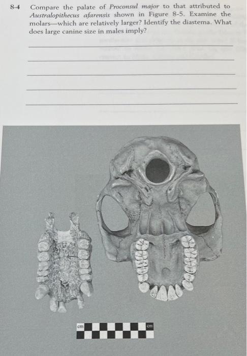 Solved 8.4 Compare the palate of Proconsul major to that | Chegg.com