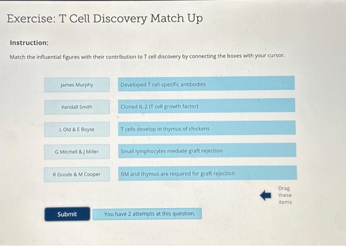 Exercise: T Cell Discovery Match Up Instruction: | Chegg.com
