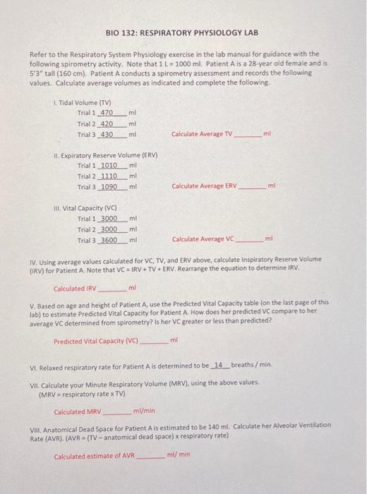 Solved Refer to the Respiratory System Physiology exercise | Chegg.com