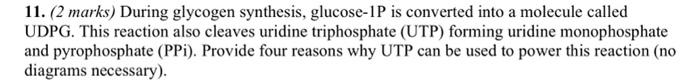 Solved 11. (2 marks) During glycogen synthesis, glucose-1P | Chegg.com