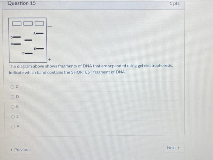 Solved Question 11 1 pts An thrives in the low pH. | Chegg.com