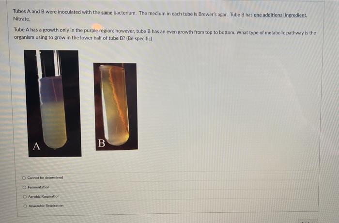 Solved Tubes A and B were inoculated with the same | Chegg.com