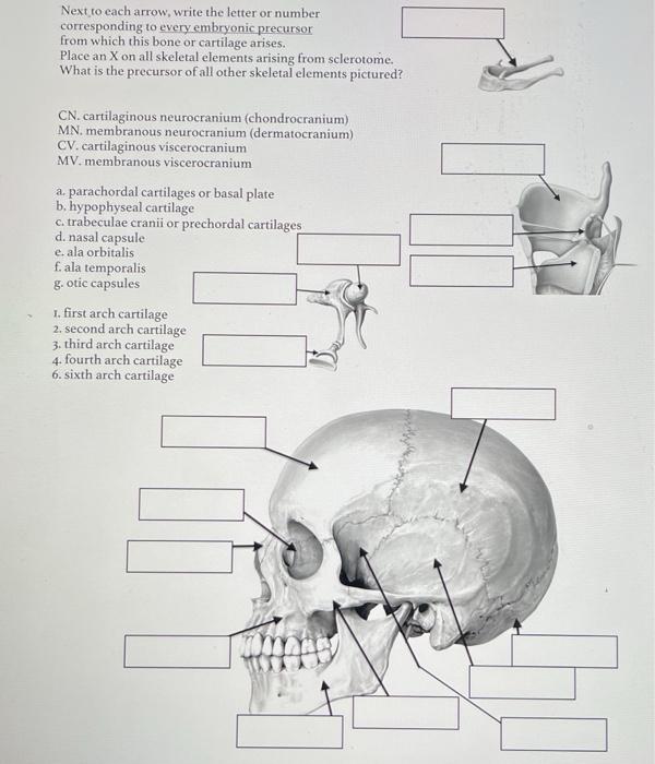 Next to each arrow, write the letter or number | Chegg.com