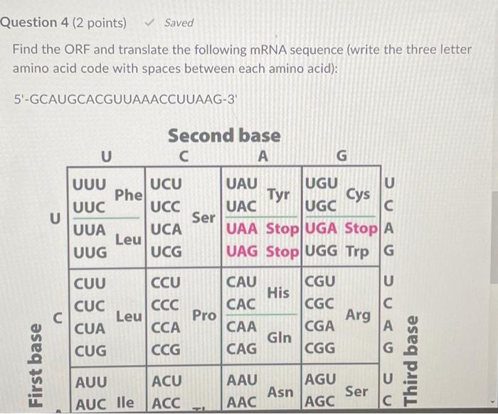 Solved Find the ORF and translate the following mRNA | Chegg.com