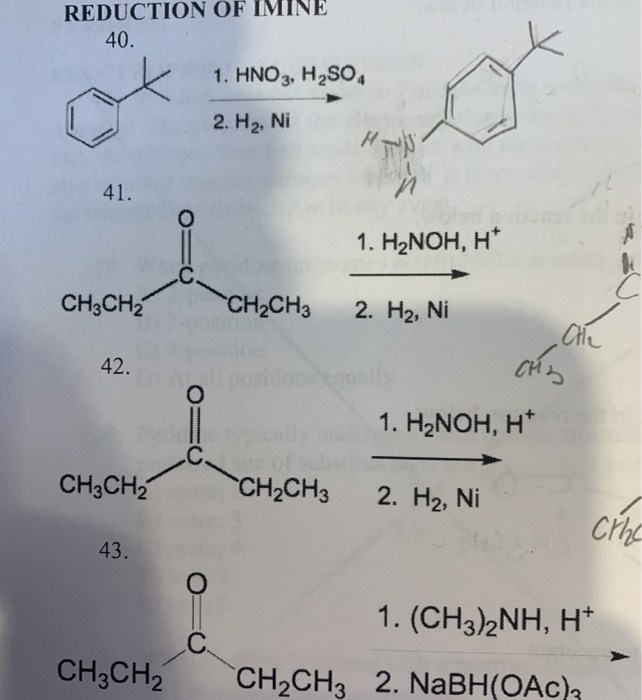 Solved REDUCTION OF IMI 40. 1. HNO3, H2SO4 2. H2, Ni H 41. | Chegg.com