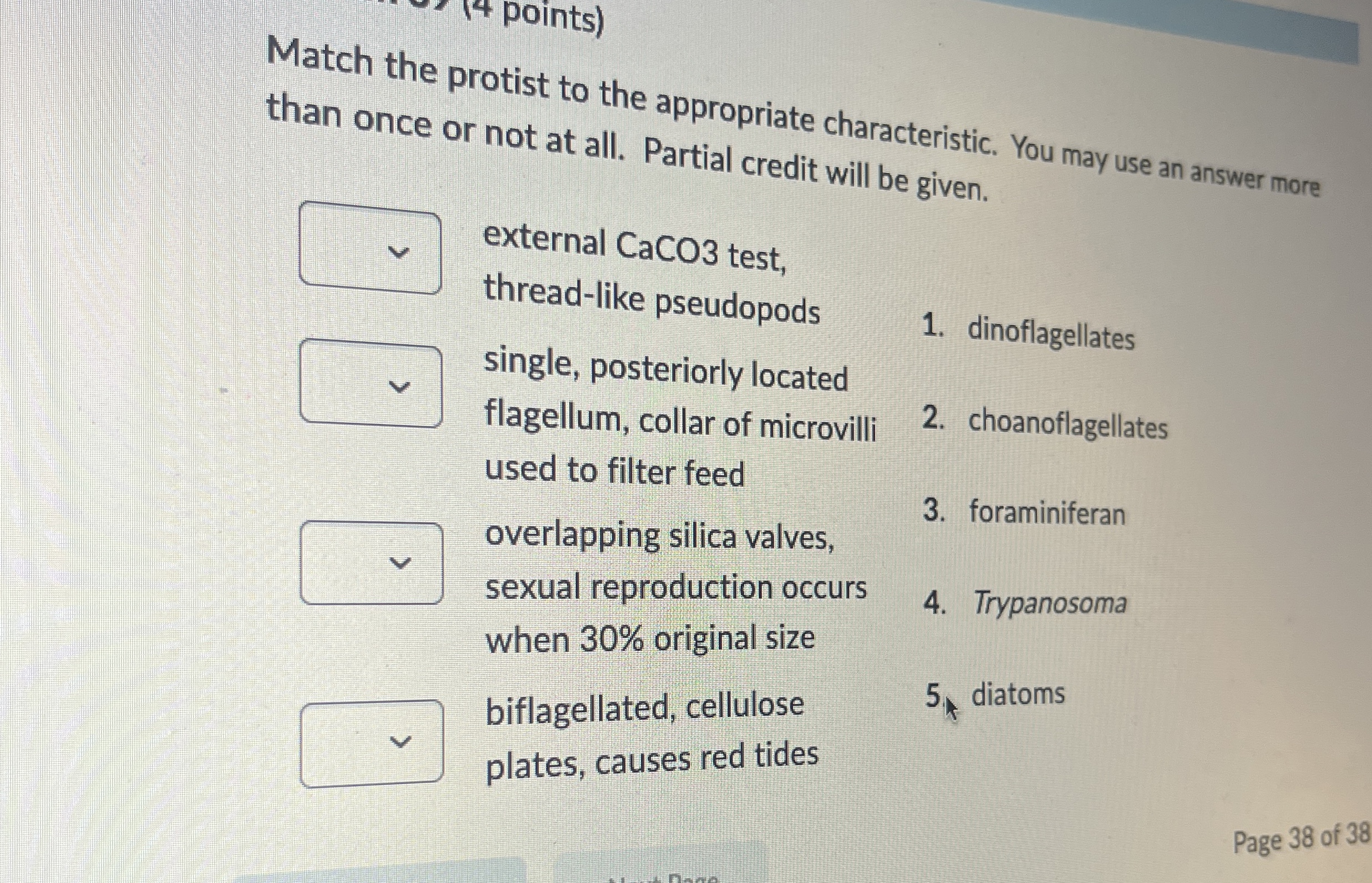 Solved points)Match the protist to the appropriate | Chegg.com