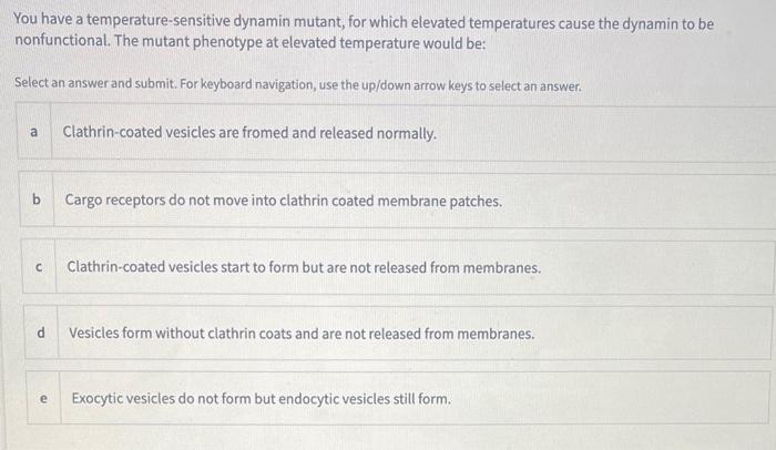 Solved You have a temperature-sensitive dynamin mutant, for | Chegg.com