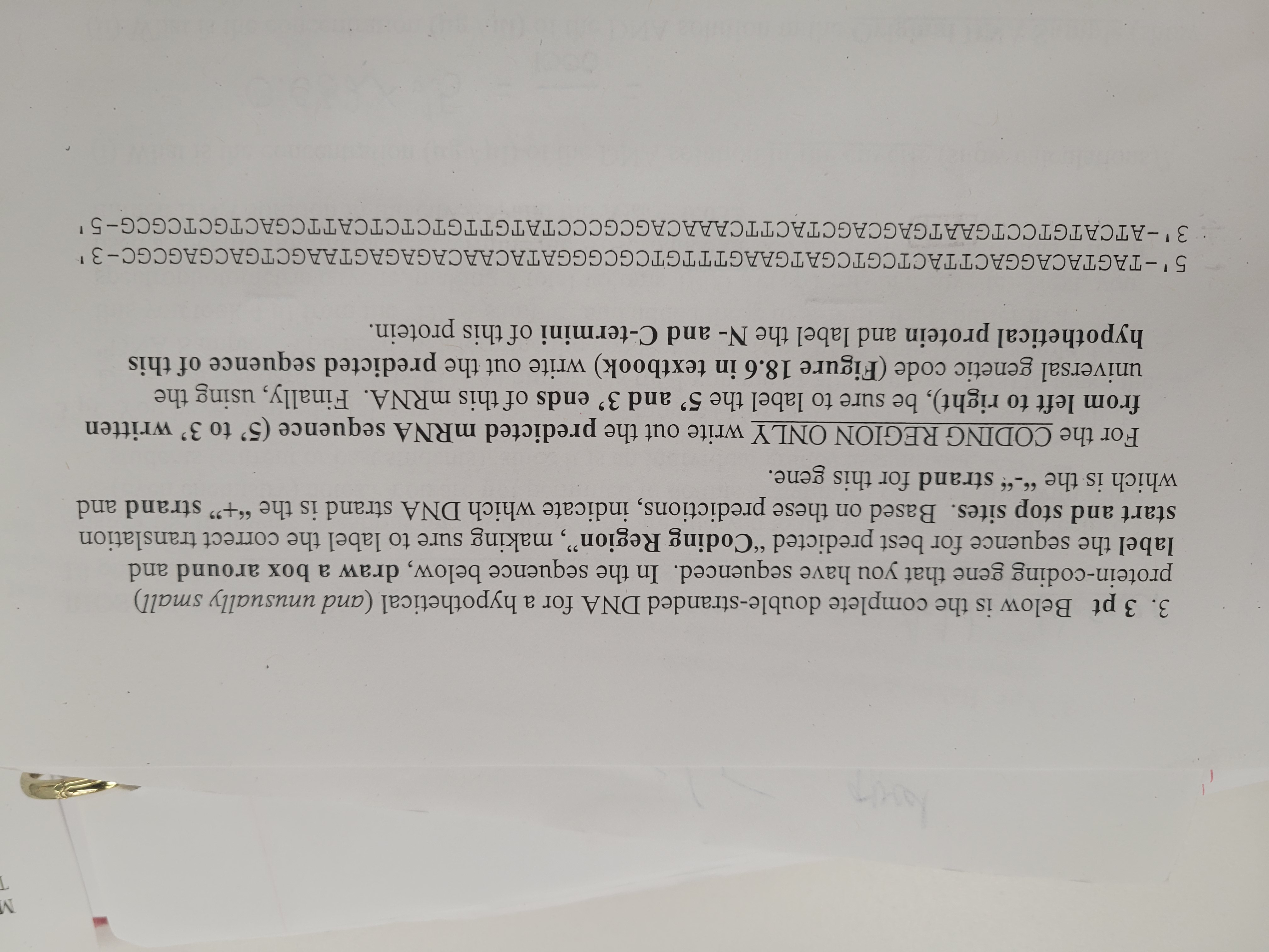 Solved 3pt ﻿Below is the complete double-stranded DNA for a | Chegg.com