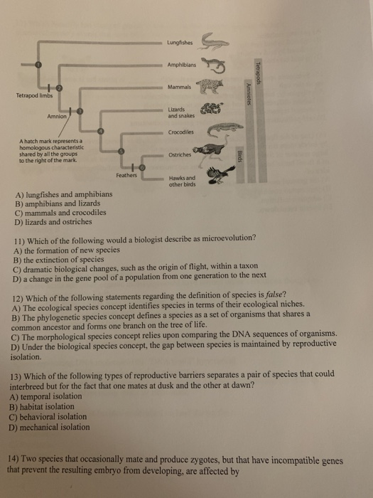 Solved 7) Microevolution, or evolution at its smallest | Chegg.com