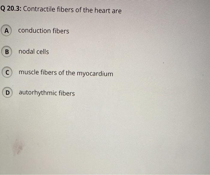 Solved Q 20.3: Contractile fibers of the heart are Α) | Chegg.com