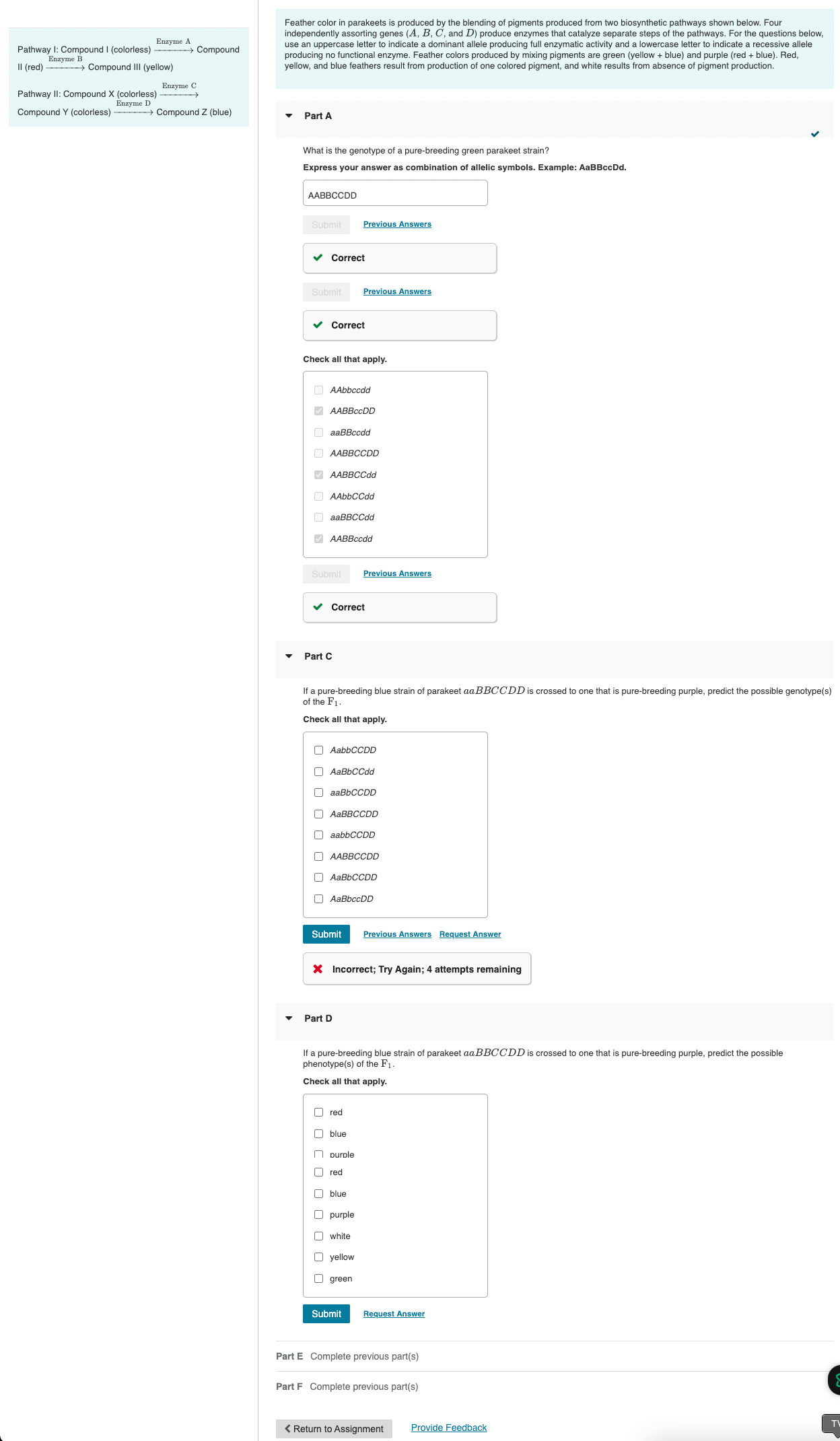 Solved Feather color in parakeets is produced by the | Chegg.com