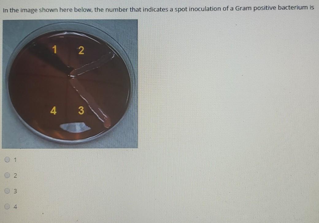 Solved In the image shown here below, the number that | Chegg.com