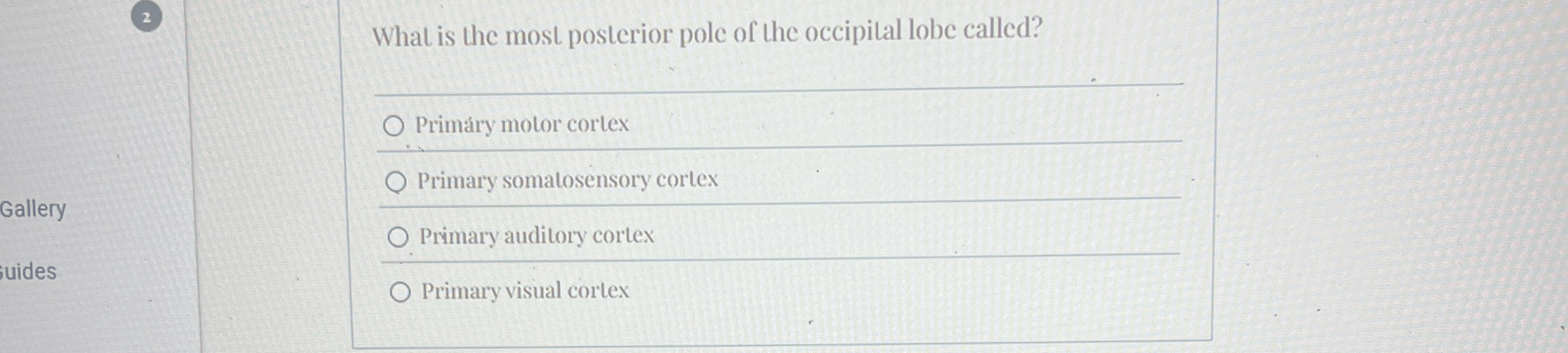 Solved What is the most posterior pole of the occipital lobe | Chegg.com
