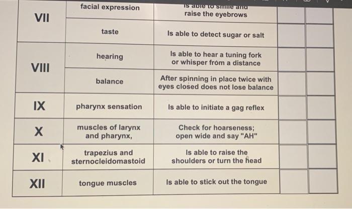 Solved CRANIAL NERVE FUNCTION TABLE 1 SUBJECT NERVE FUNCTION | Chegg.com