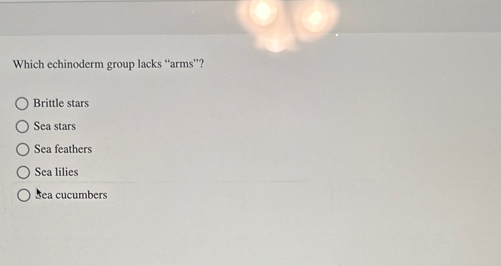 Solved Which echinoderm group lacks "arms"?Brittle starsSea | Chegg.com