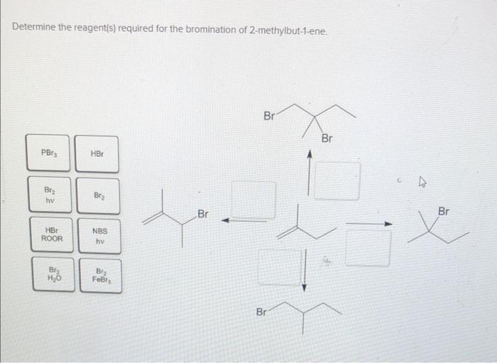 Solved Determine the reagent(s) required for the bromination | Chegg.com